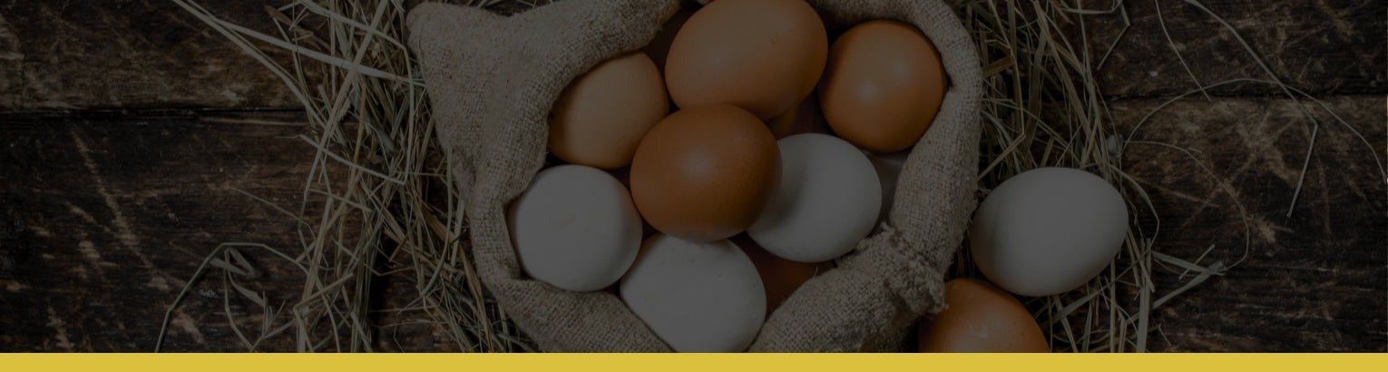 Hoeveel Gram Eiwit Zit Er In Een Ei? – MB Nutrition